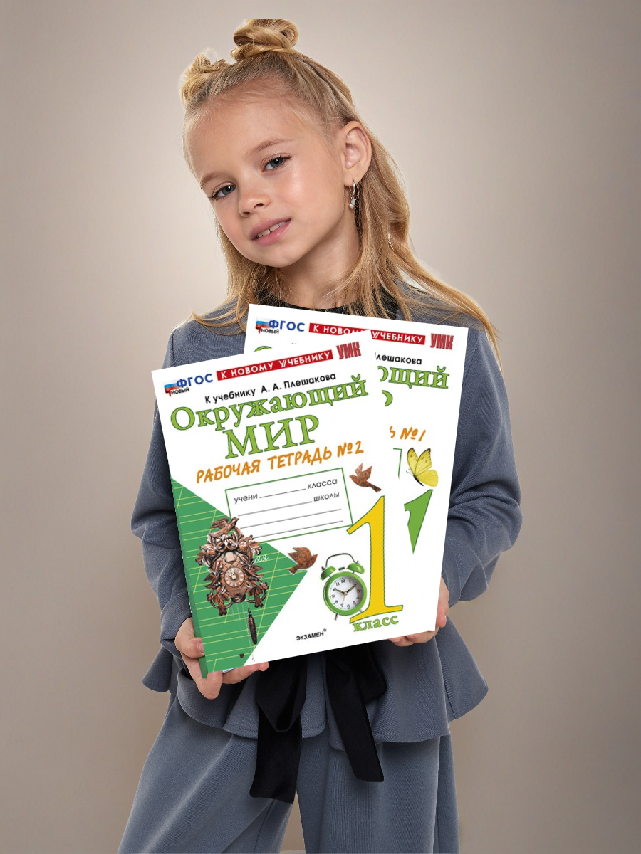 1 класс. Рабочая тетрадь в 2 частях Окружающий мир Соколова Н. А.