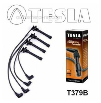 TESLA T379B Провода