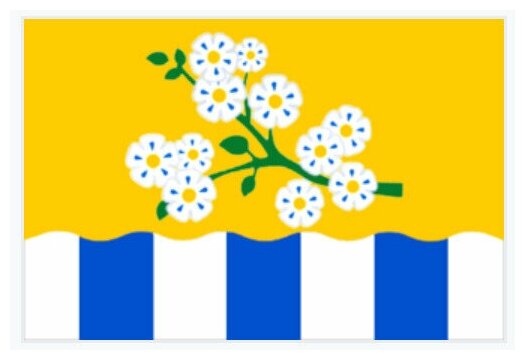 Флаг города Ленинск (Волгоградская область) 90х135 см