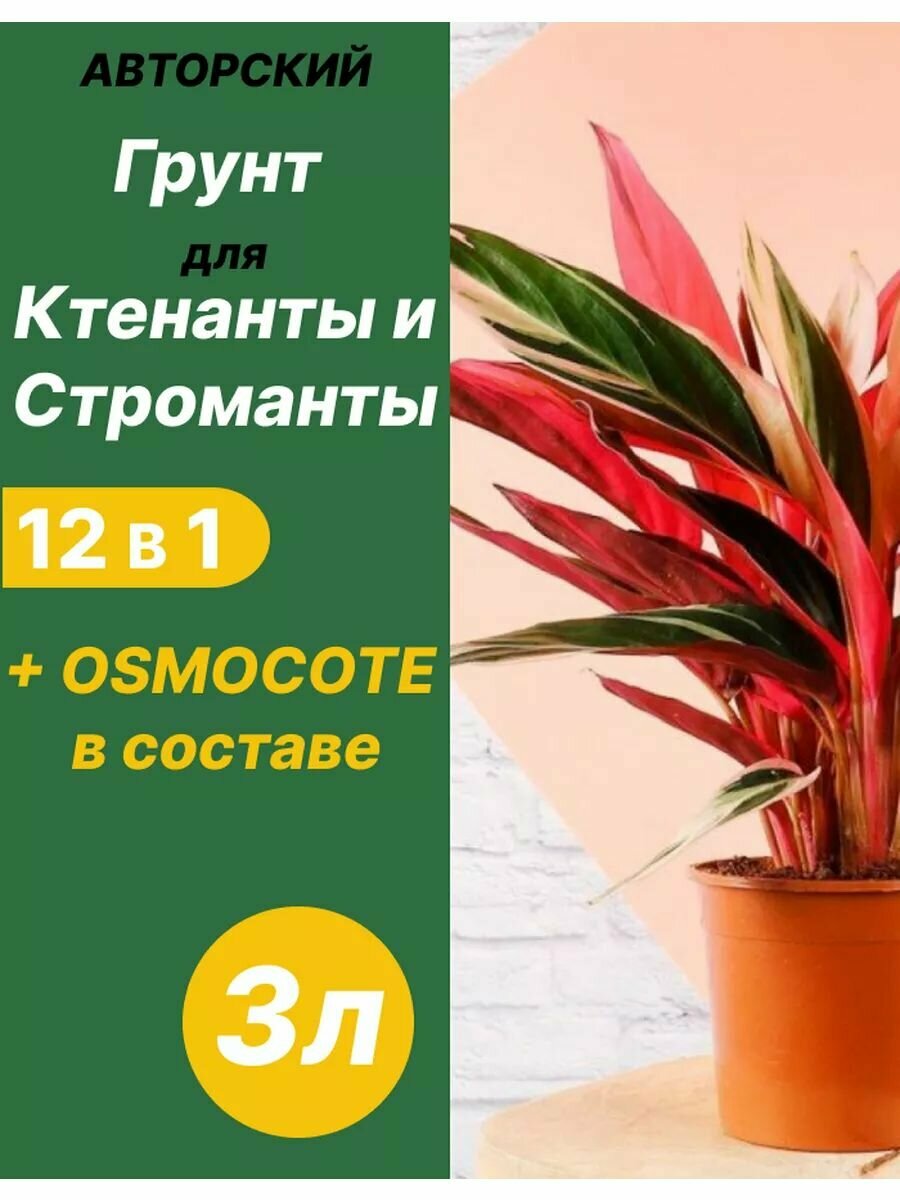 Грунт для Ктенанты и Строманты 3л готовый