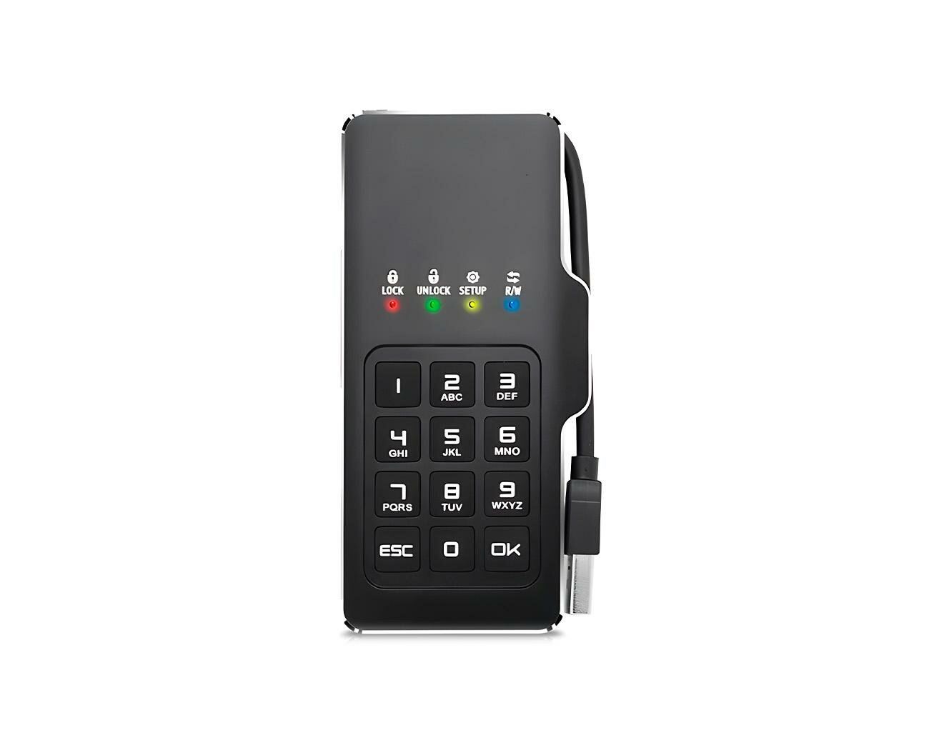 Защищенный внешний диск DATA LOCK PRO 256 Гб М2 (O48196MI) защищенные usb флешки. Переменная временная синхронизация защита паролем.