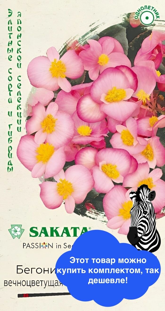 Семена цветов Гавриш "Бегония Сенатор Биколор" F1, 4 шт