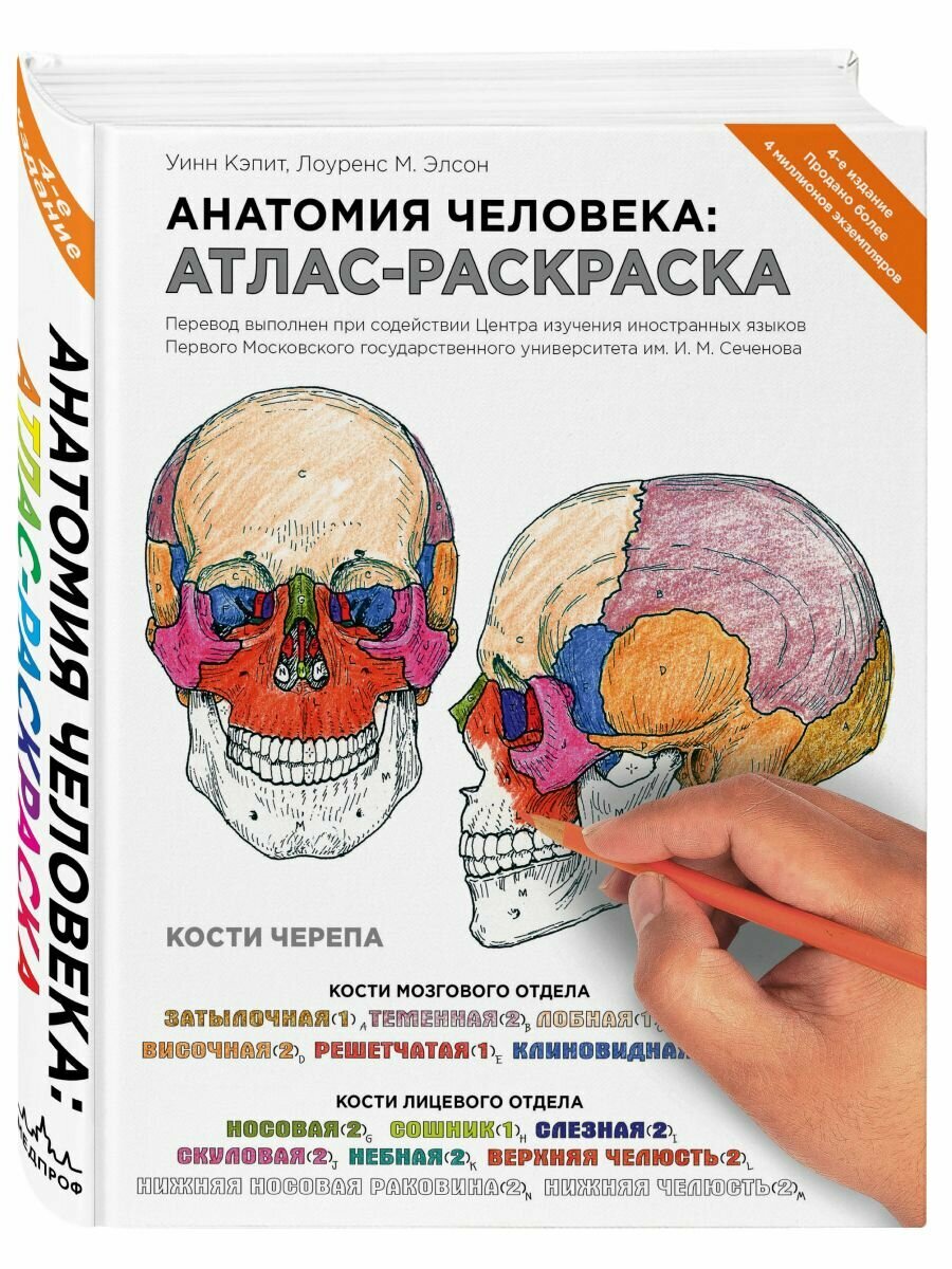 Книга "Анатомия человека: атлас-раскраска", Элсон Лоренс М, твердый переплет