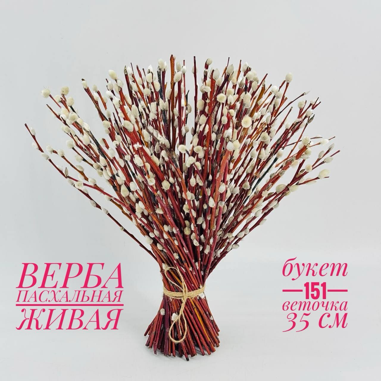 Верба пасхальная живая красноталка. Букет из вербы на Пасху, Вербное Воскресенье