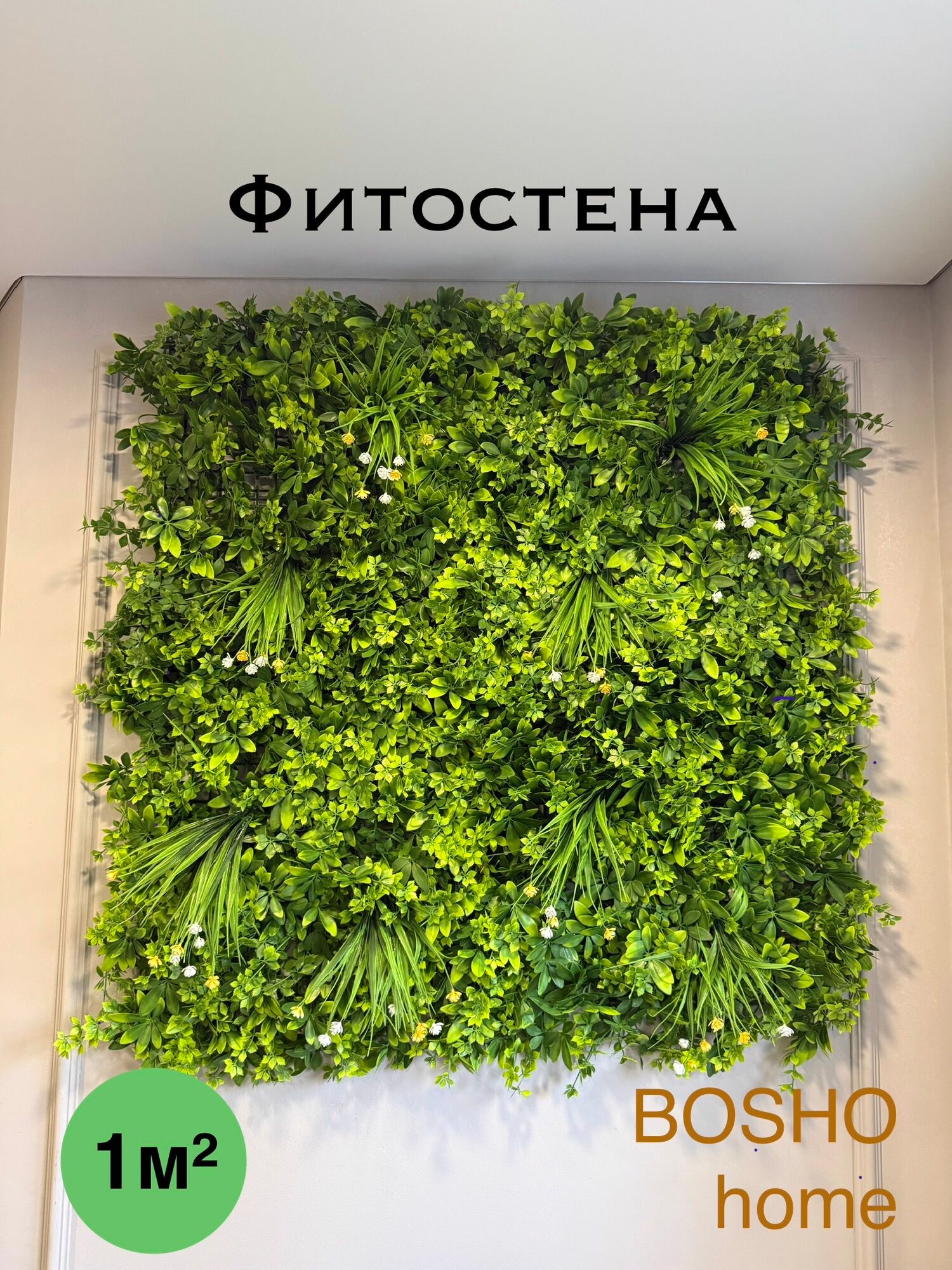 Фитостена из декоративных растений Шеффлера из серии Premium Collection в размере 50x50 см, набор из 4 штук