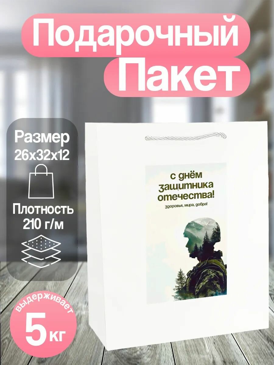 Пакет подарочный на 23 февраля, упаковка для подарка, 26х31 см