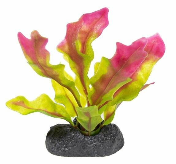 Penn-Plax Растение для аквариума Flowering Crypt, с грузом, красно-зеленое, 20 см