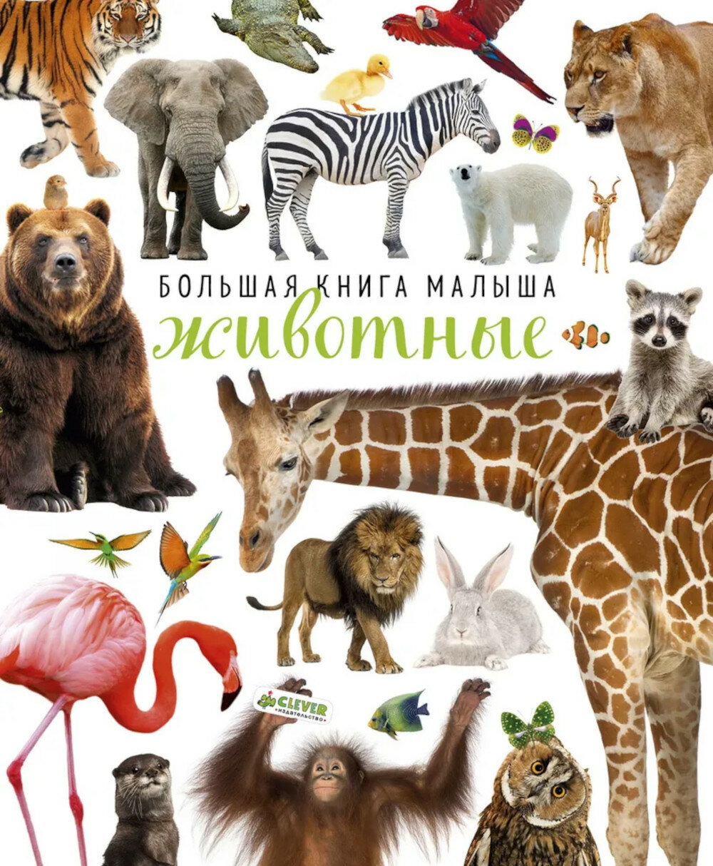 Большая книга малыша. Животные. Попова Е.
