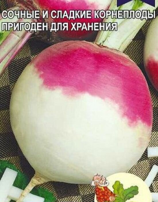 Семена Репа тянем-потянем — фото 1