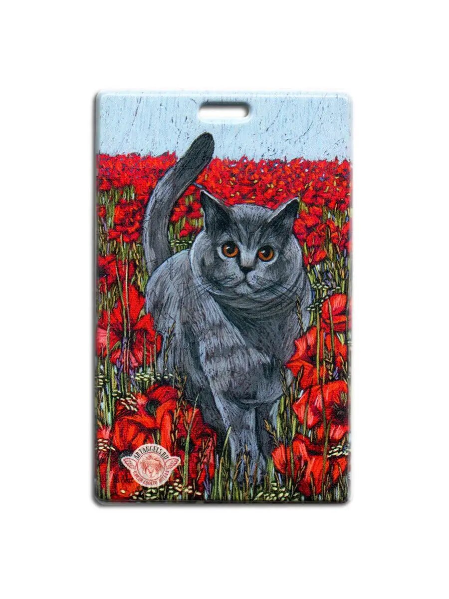 Обложка для проездного билета