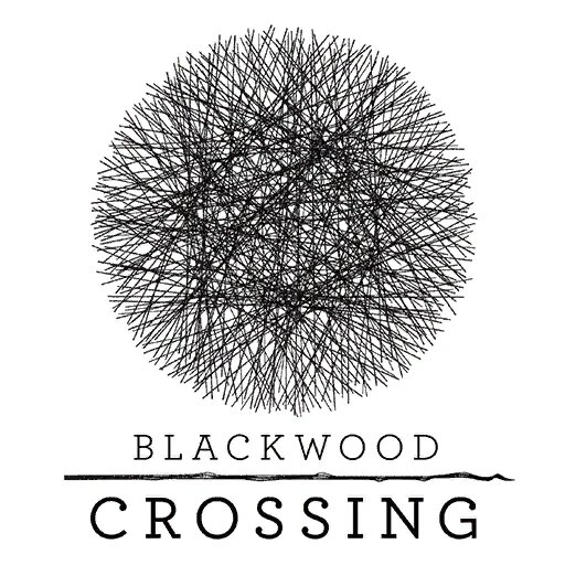 Blackwood Crossing для Sony PlayStation | PS4 и PS5 | Игра навсегда | Быстрая доставка