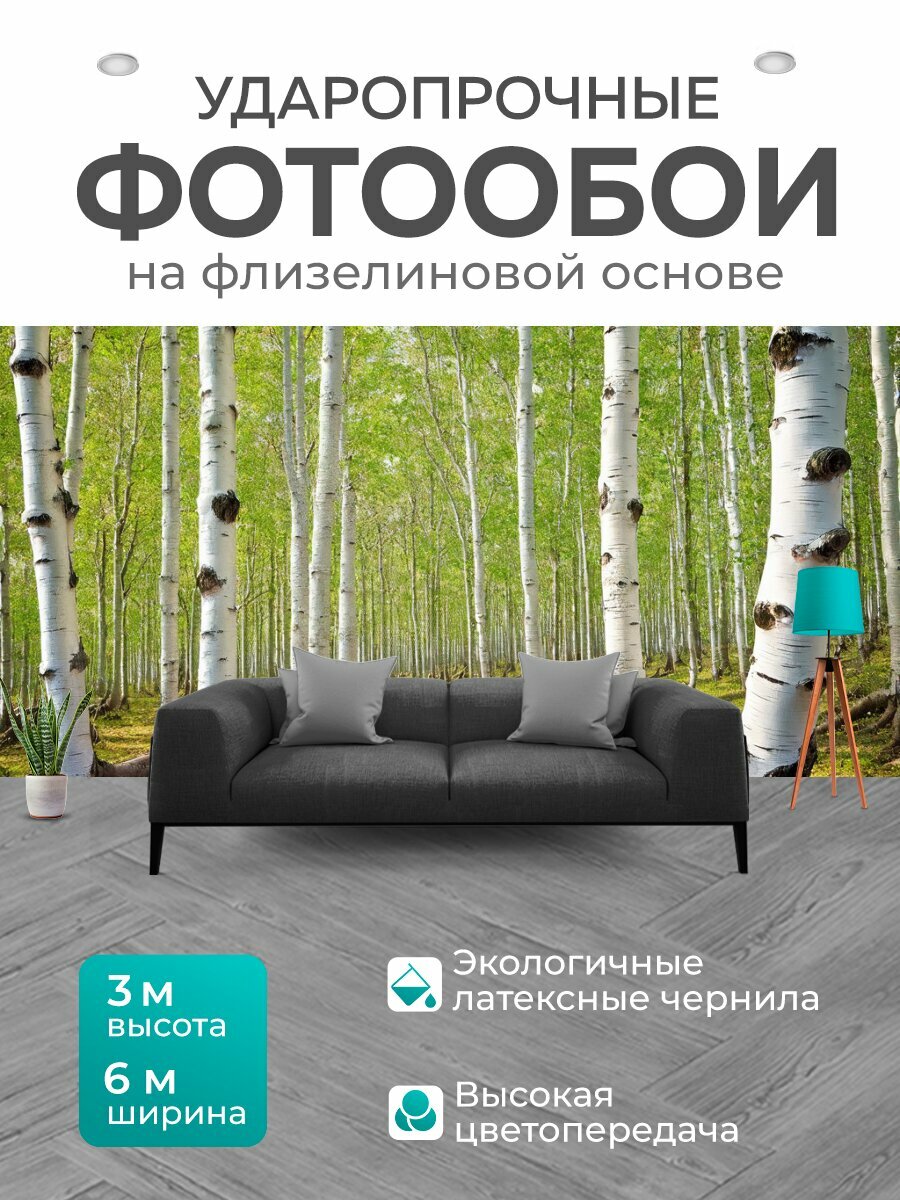 Фотообои моющиеся ударопрочные "Фотообои лес в стиле текстуры, березовая роща с белыми стволами деревьев, текстурированные корни и молодая зелень," 600x300 см. флизелиновые на стену