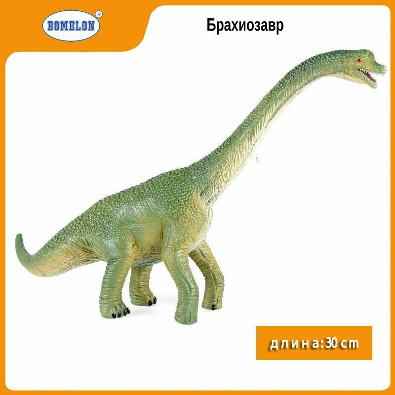 Реалистичные фигурки динозавров, Большой, Фигурка Брахиозавр 30 см, Brachiosaurus, динозавры игрушки для мальчиков