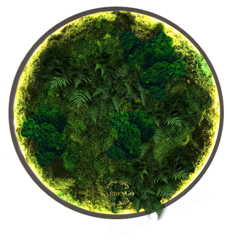 Панно из мха "Папоротник" в круглой раме с подсветкой №62, D70 см