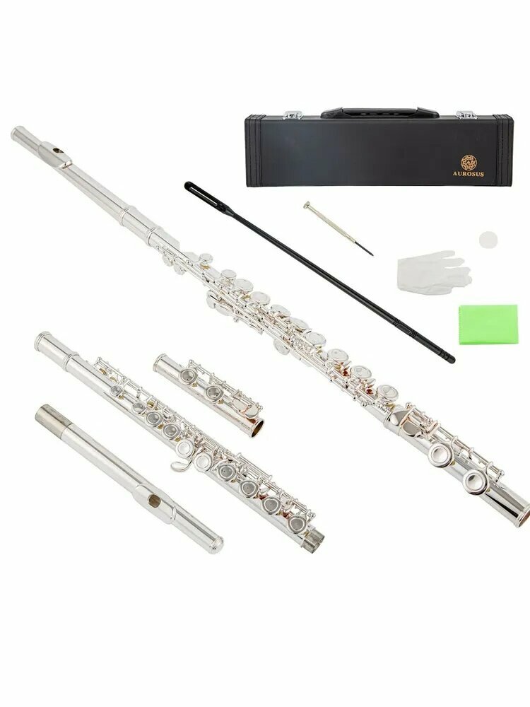 Флейта AUROSUS MSC-6 Посеребренный