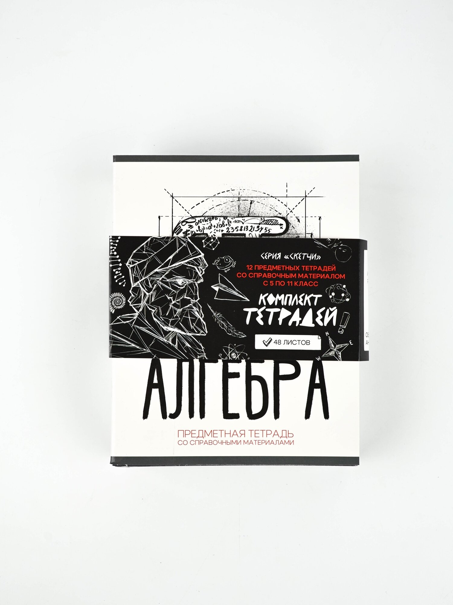 Набор предметных тетрадей 48 л, 12 шт. А5, в клетку, вн. блок №1 «Скетчи»