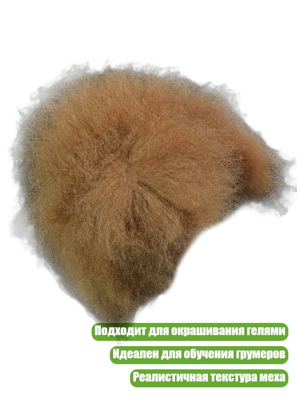 Манекен для тримминга собак, Волосы каштановые