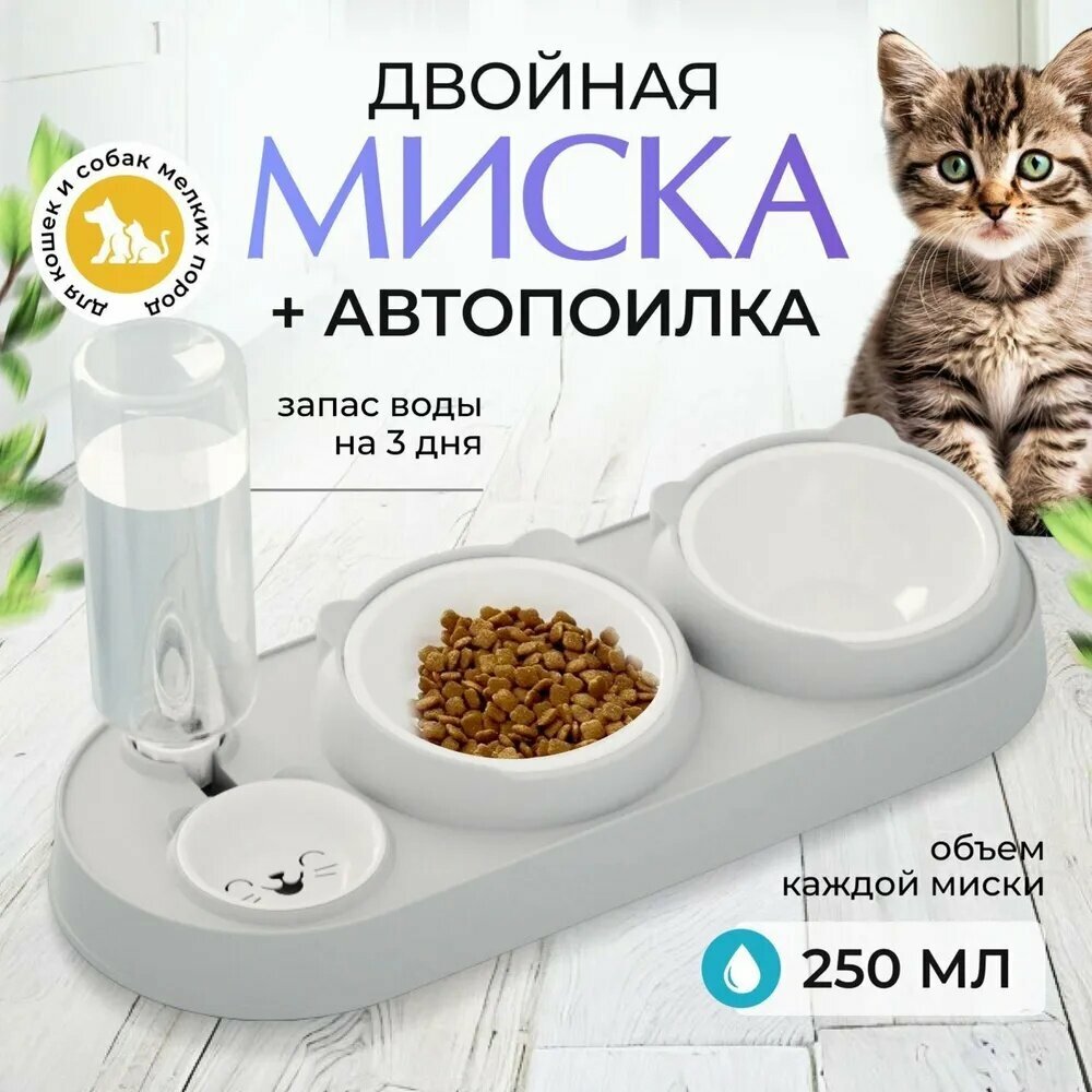 Миска для животных