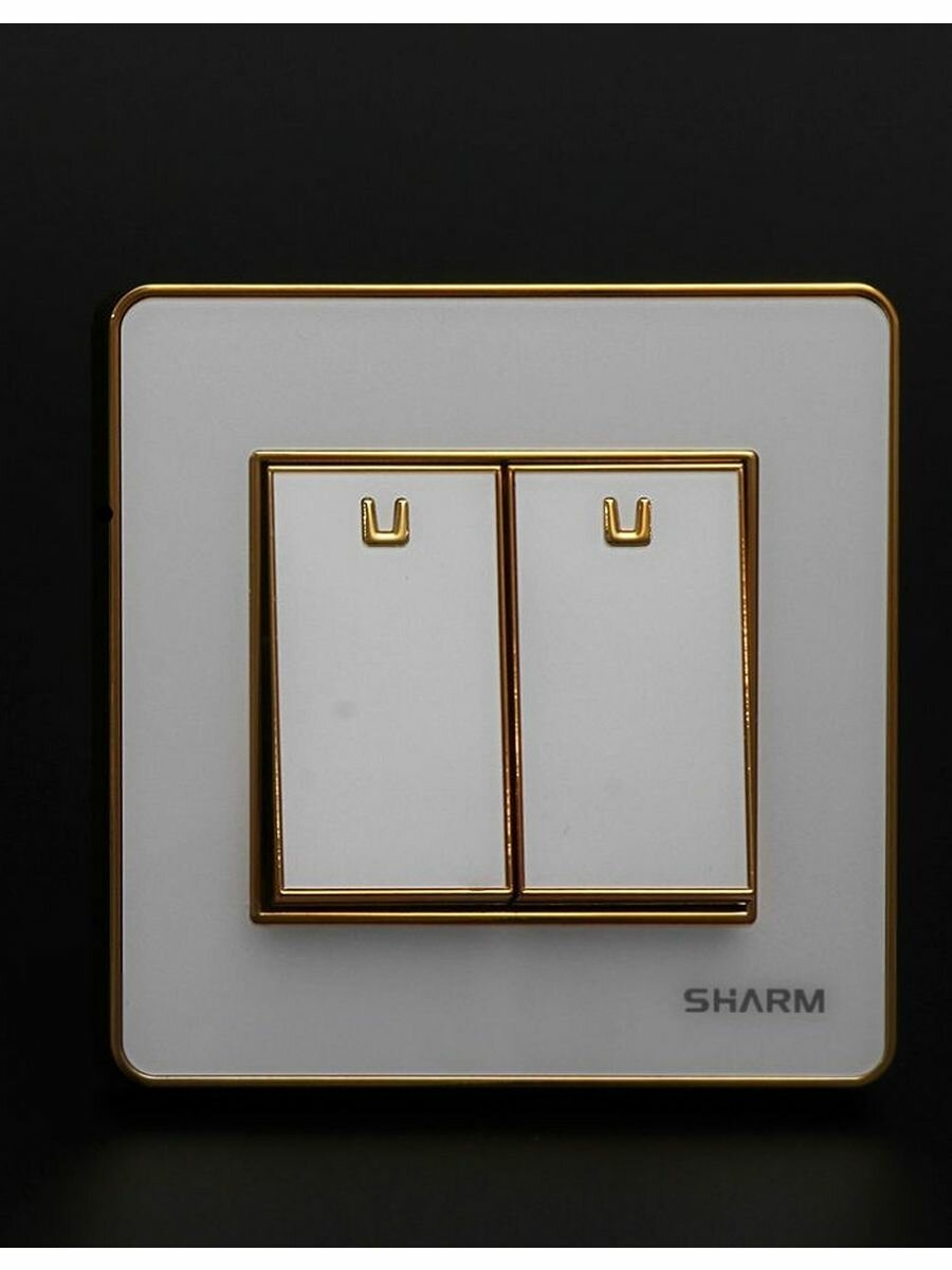 Выключатель света двухклавишный 41