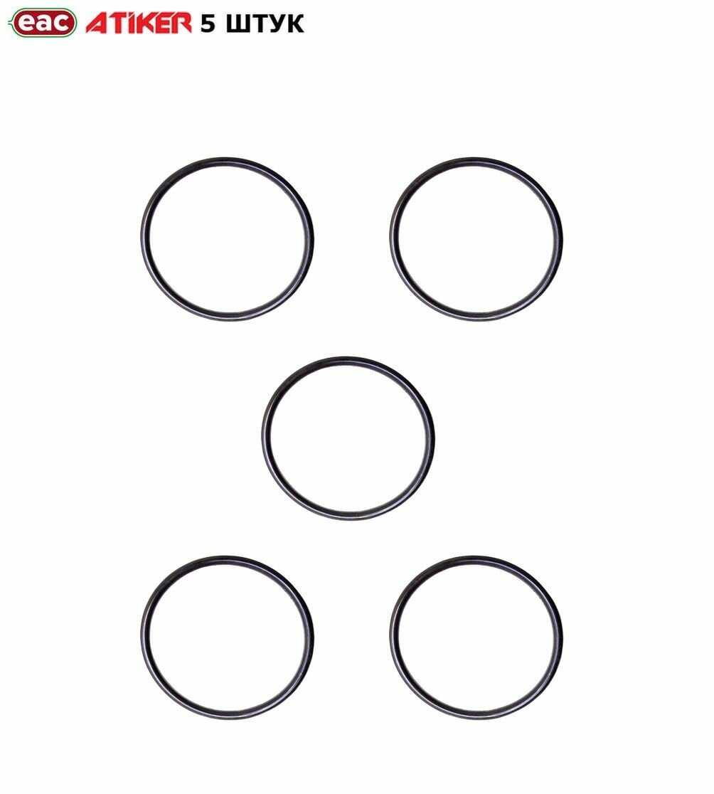 Кольцо газового клапана ГБО ATIKER 1306, 1308 (5 штук)