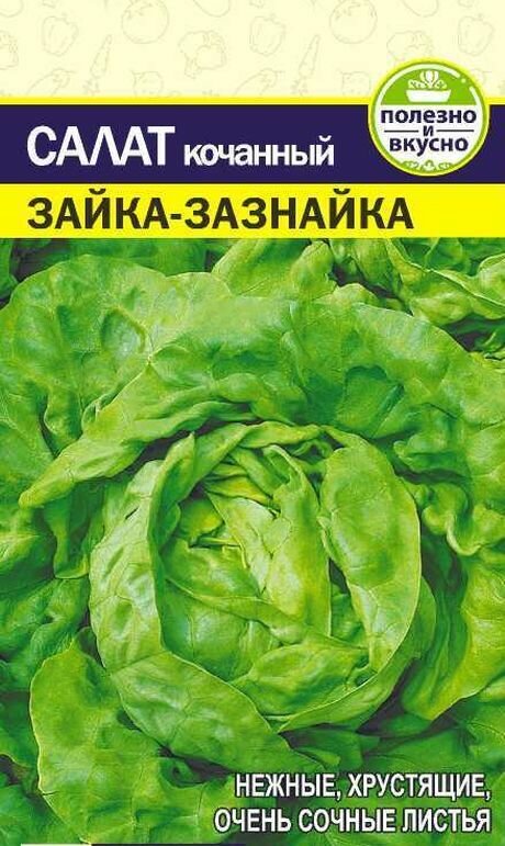 Салат кочанный Зайка-зазнайка