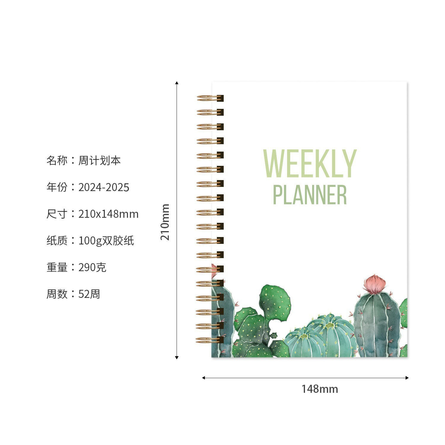 Блокнот "2025 Weekly Plan Book", обложка "Кактус №2", трансграничный