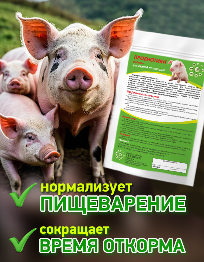 Пробиотик для свиней на откорме 500 гр