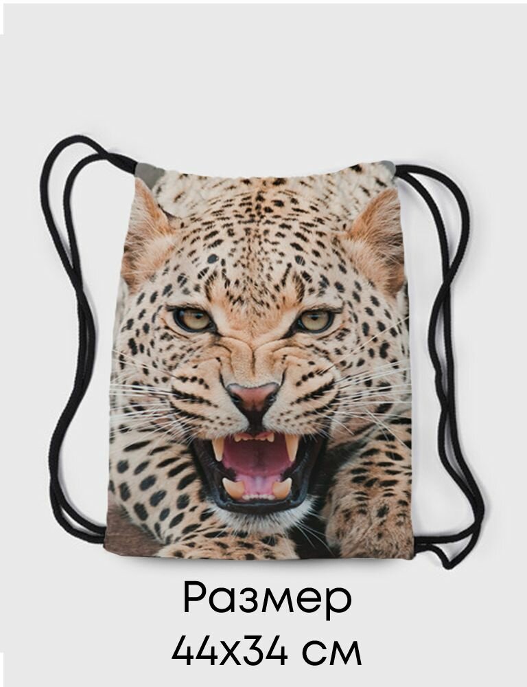 Мешок - сумка для обуви Леопард — фото 1