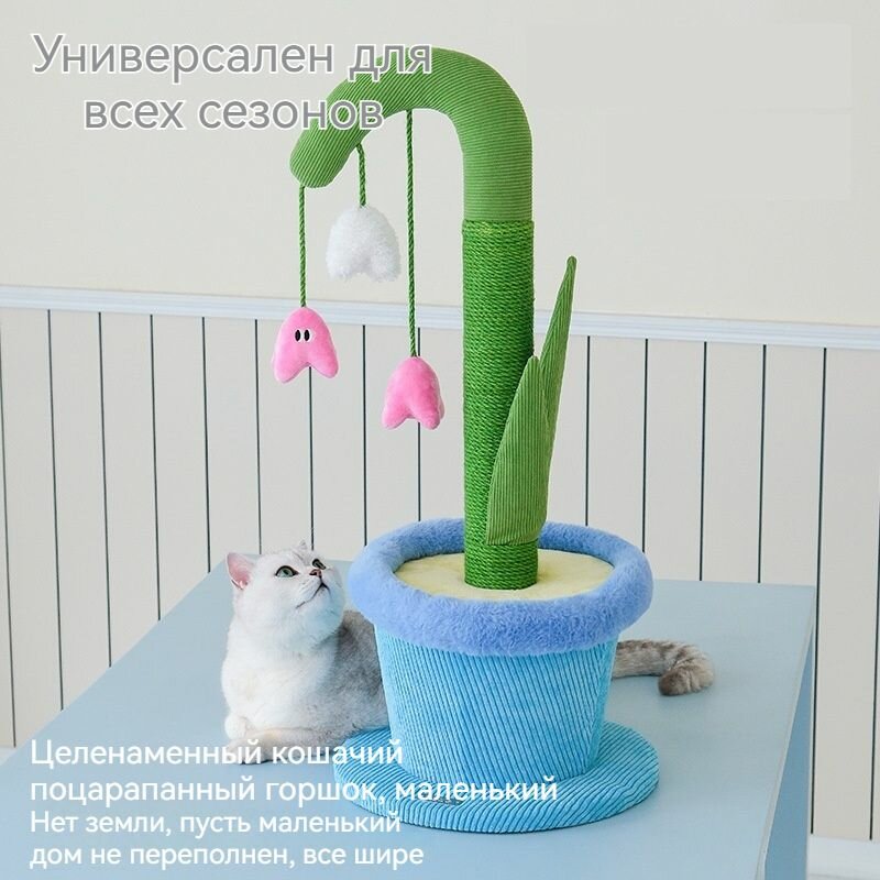 Когтеточка — фото 1
