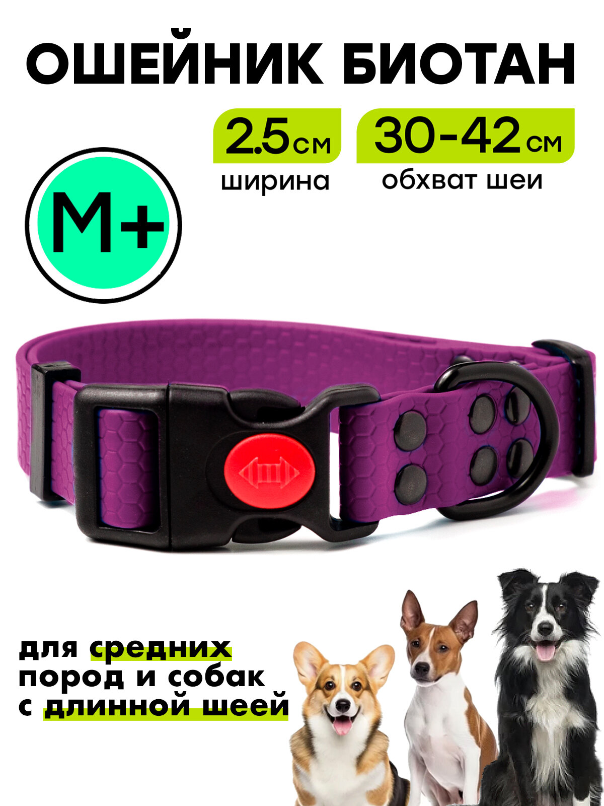 Ошейник из биотана 30-42 см (M+), 25 мм, Woofy "Iron" водостойкий, для небольших и средних собак, фиолетовый