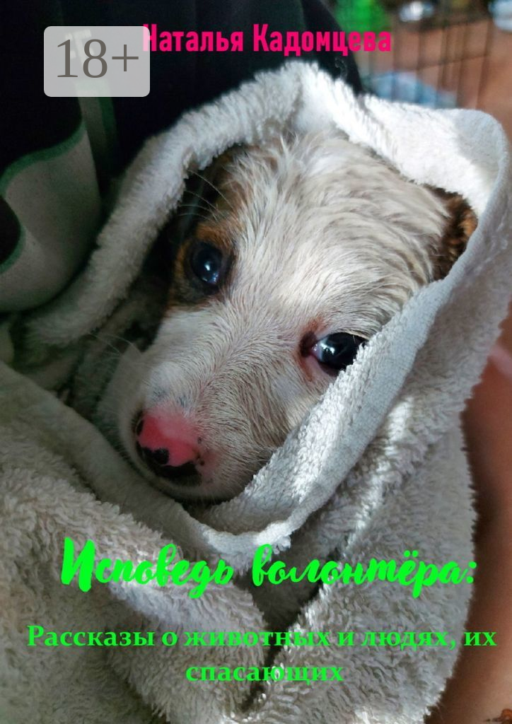 Исповедь волонтера