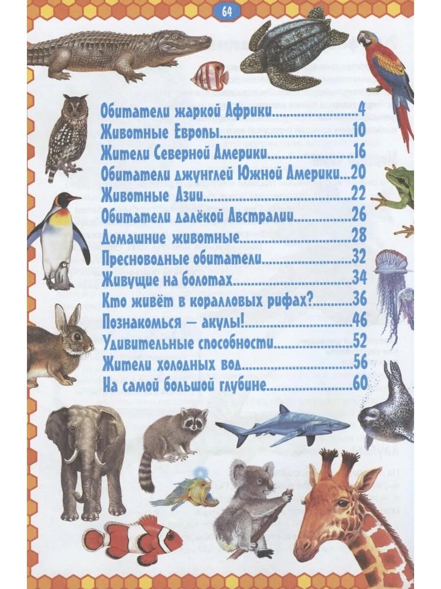 Животные мира — фото 1