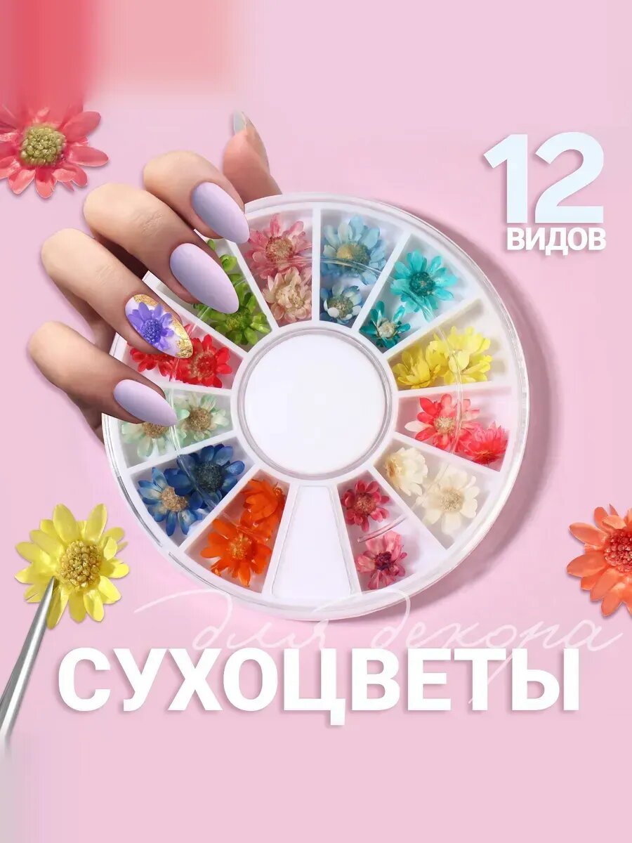 Набор сухоцветов для маникюра ромашки 12 видов