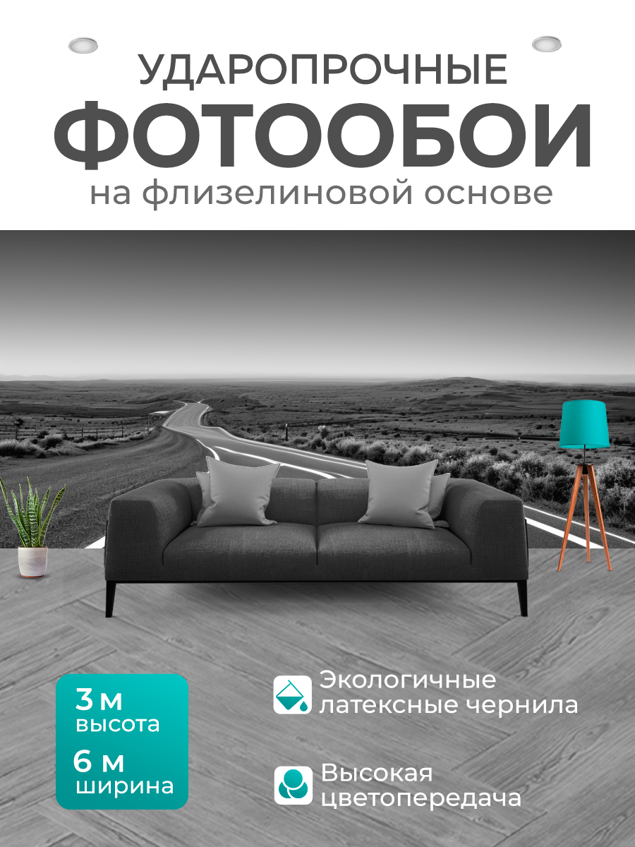 Фотообои моющиеся ударопрочные "Черно белый пейзаж с дорогой" 600x300 см. флизелиновые на стену