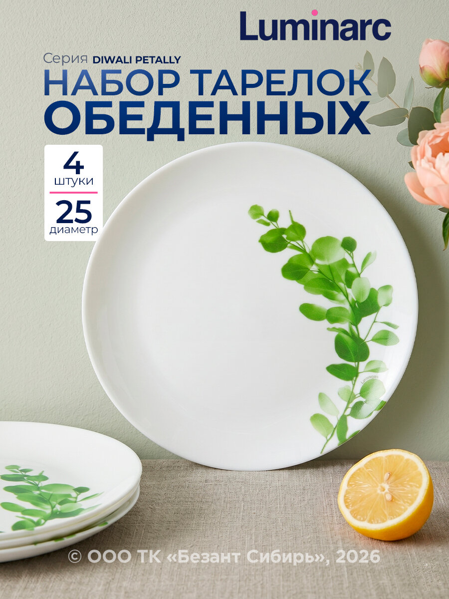 Набор тарелок обеденных DIWALI PETALLY 25см 4шт