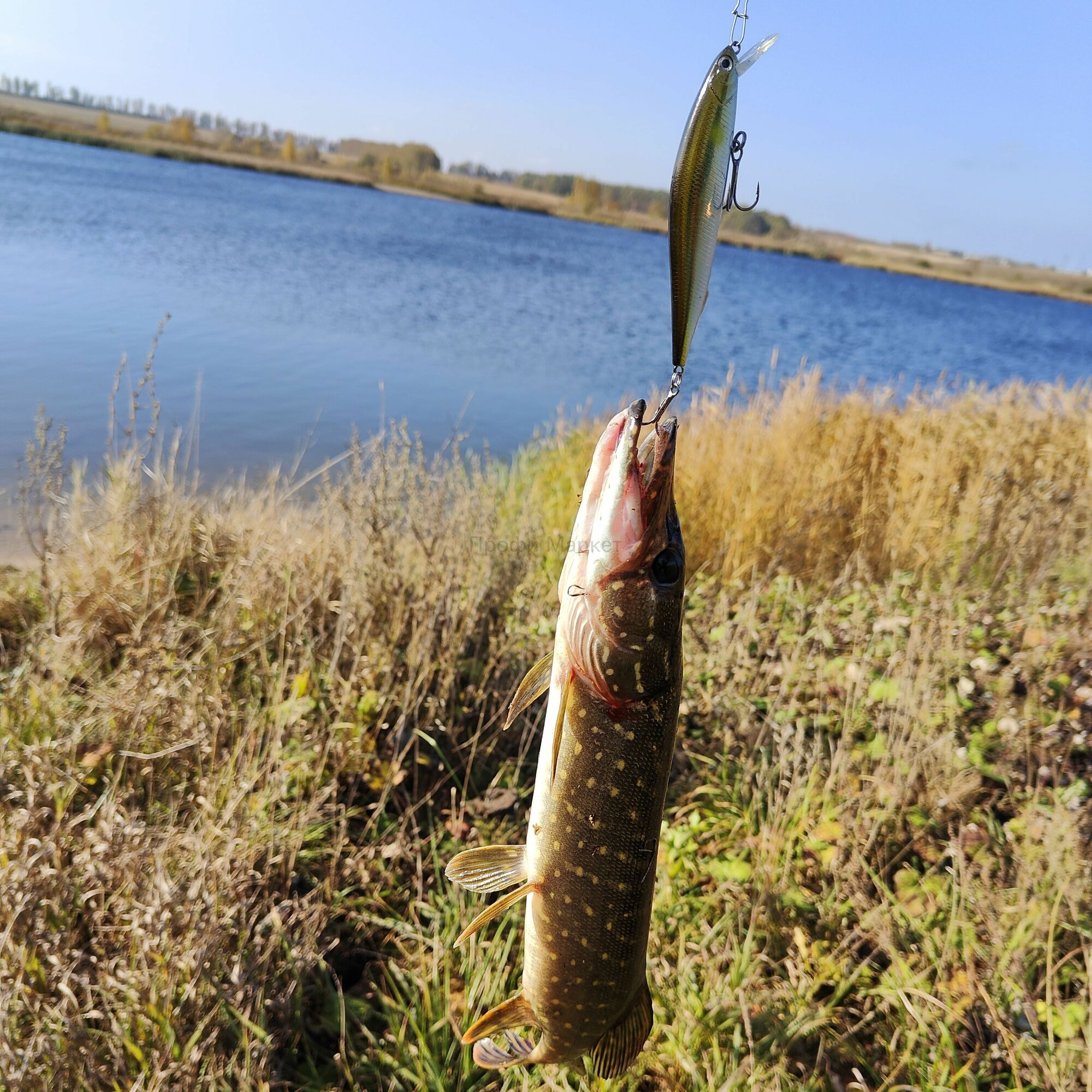 Воблер Megabass Pointer 14 г 100 мм косит щуку всегда 3 шт с крючками для рыбалки — фото 1