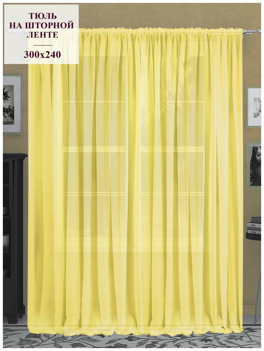 Тюль гостиный Моно, 300*240см