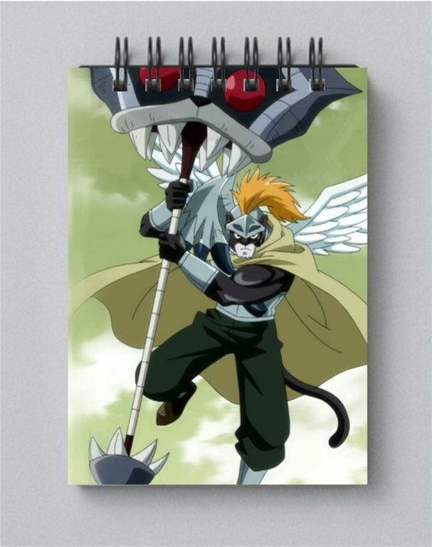 Блокнот Хвост Феи, Fairy Tail №10, А5