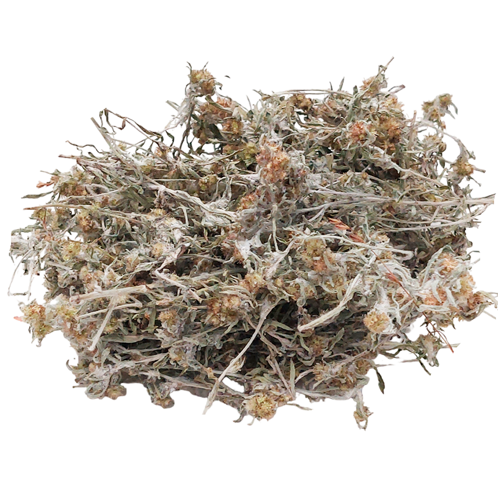 Сушеница топяная трава