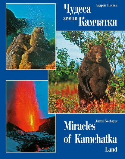 Чудеса земли Камчатки / Miracles of Kamchatka Land [Цифровая книга]