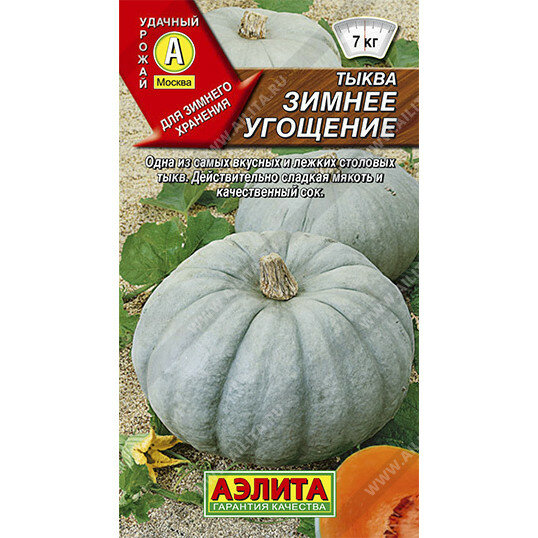 Семена тыквы Аэлита "Зимнее угощение", крупноплодная, высокое содержание сухих веществ
