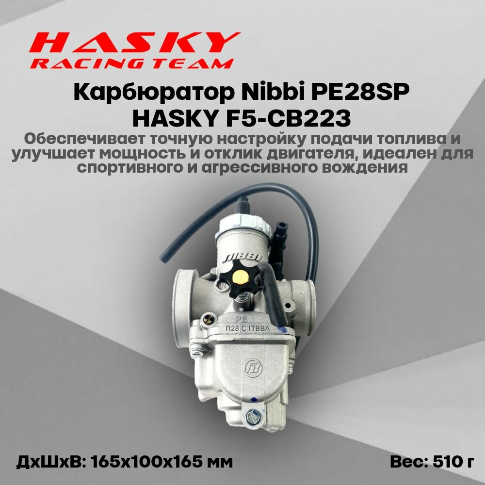 Карбюратор Nibbi PE28SP HASKY F5-CB223
