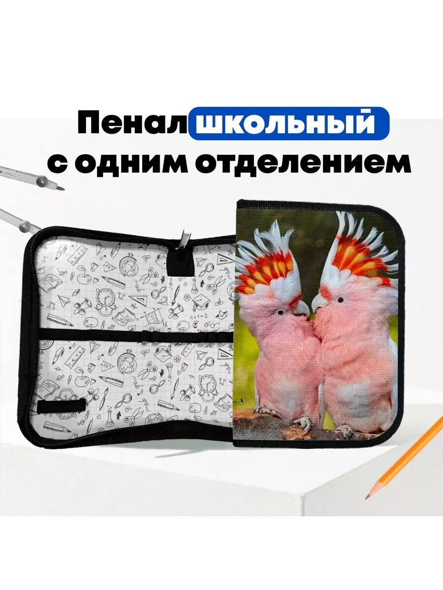 Школьный пенал Попугай