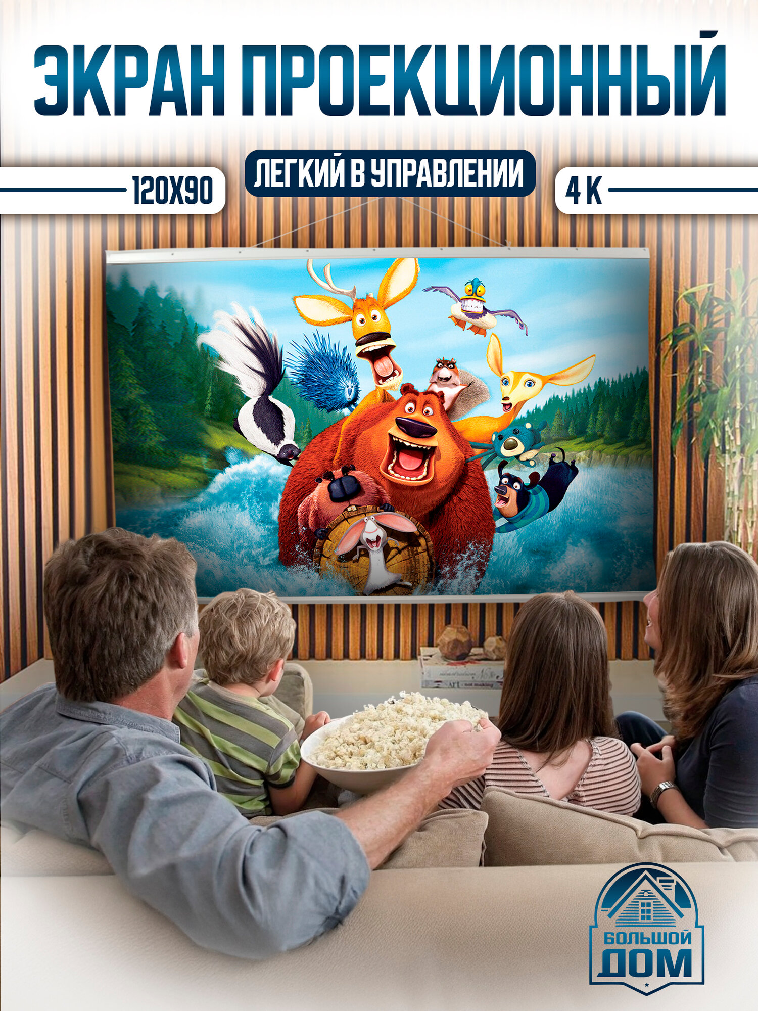 Экран для проектора "пионер BD" 120x90, формат 4:3, 60 дюймов, настенно-потолочный