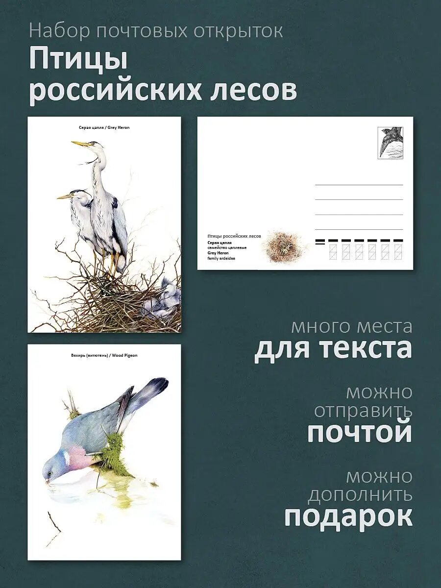 Почтовые открытки "Птицы российских лесов" для посткроссинга, набор 10 шт.