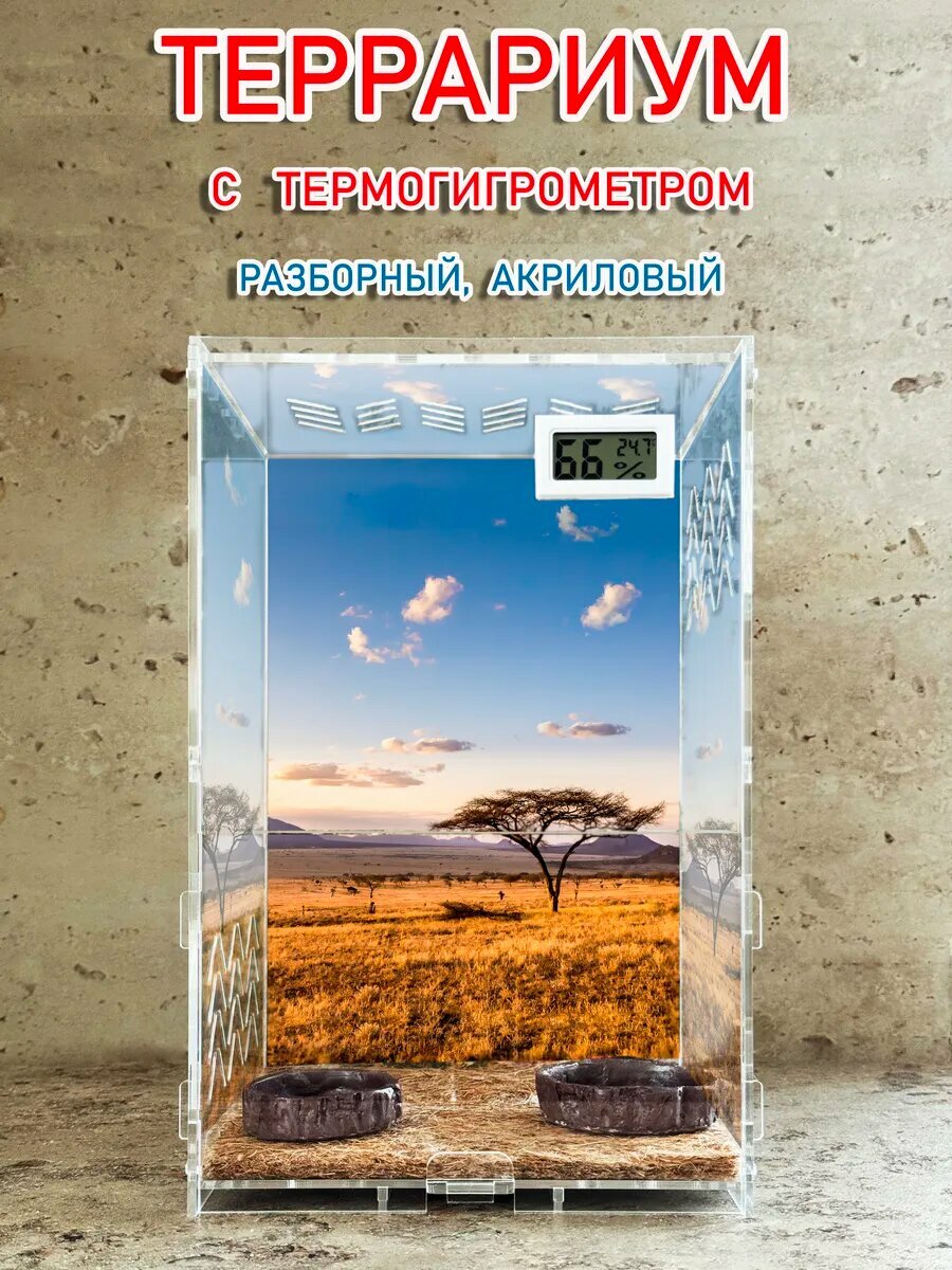 Террариум "Африканская степь", акриловый, усиленный, для богомолов и пауков
