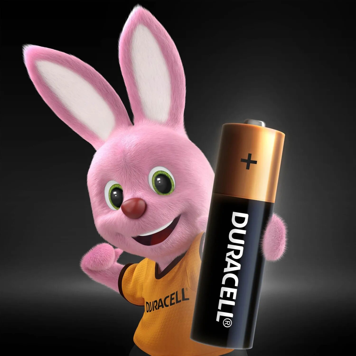 Батарейки DURACELL BASIC АА/LR6-4BL — фото 1