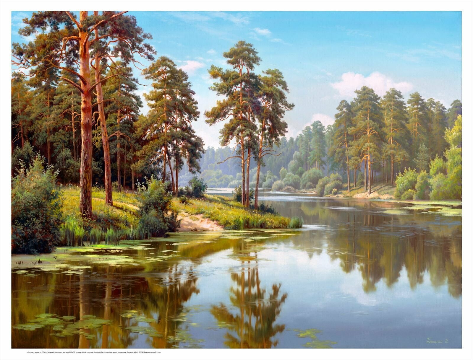 Постер на холсте, "Сосны у воды", 80х60 см, художник - Прищепа И. Холст в рулоне, Арт. ПИ-р33