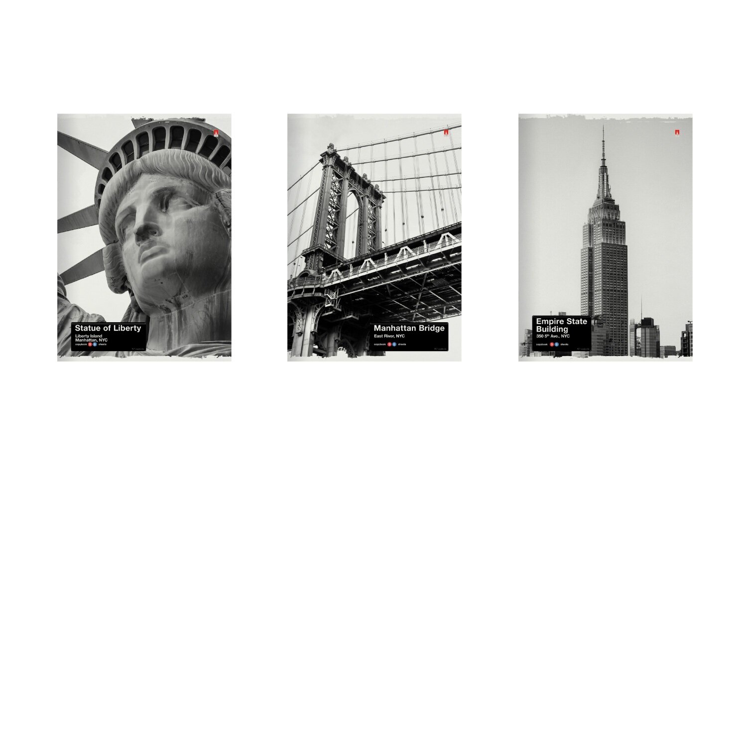 Тетрадь общая Альт® А4 (208 х 297 мм) "NYNY" 96 л, клетка Арт. 7-96-1217 обложка в ассортименте. Цена за 1 шт.