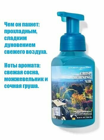 Bath and Body Works мыло пенка Crisp Morning Air (259 мл)
